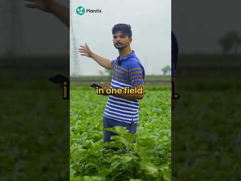 How Plantix changed my life📱 #shorts