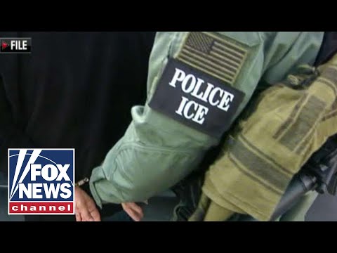New NYC anti-discrimination measure levies fines of up to $250,000 for saying 'illegal alien'