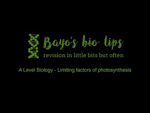 A level Biology - Limiting factors of photosynthesis