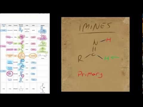 An introduction to nitrogen based functional groups.