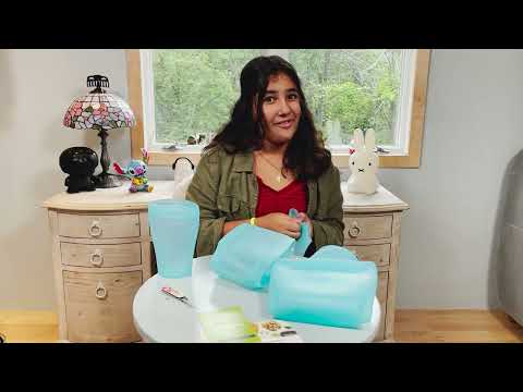 "Stasher" the SHARK TANK Ziplock Bag | Lola Reviews