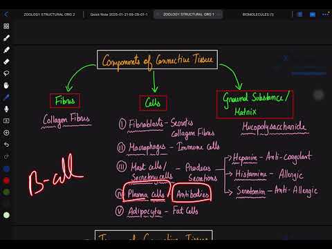 Cell Junctions & Connective Tissues - Structural organisation in Animals