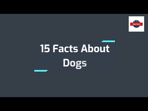 Interesting Fun Facts About Dogs