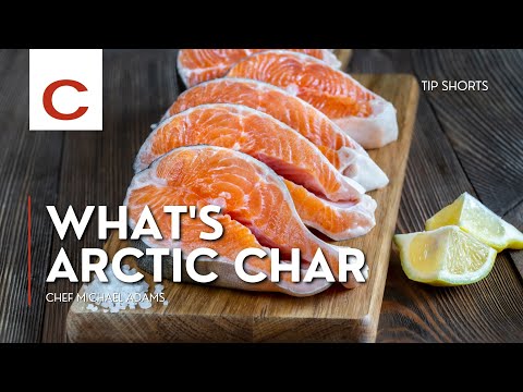 What's Arctic Char | Chef Michael Adams | Tips #shorts
