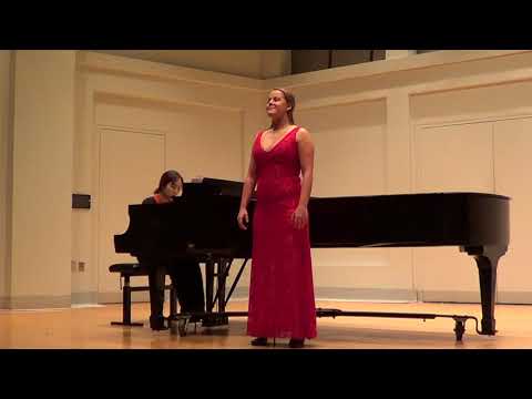 Lachen und Weinen, D.777   Franz Schubert