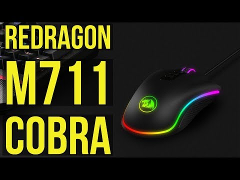 ✅ Redragon M711 Cobra Gaming Mouse Review