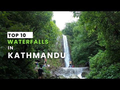 Top 10 Amazing Facts About the Amazon Rainforest You Never Knew| National Park | Film