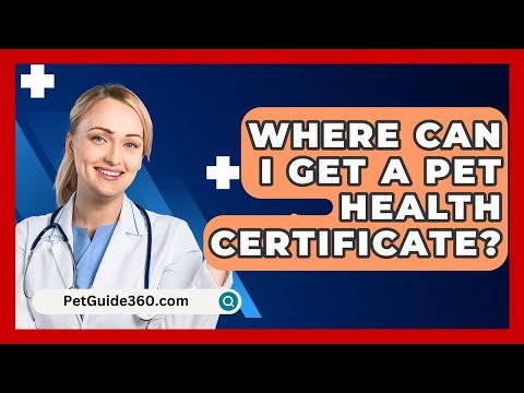 Where Can I Get A Pet Health Certificate? - PetGuide360.com