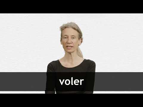 English Translation of “VOLER” | Collins French-English Dictionary