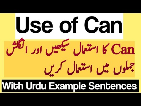 Use of Can with Urdu Example Sentences | Modal Verbs | Basic to Advanced English