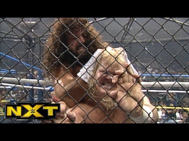 3 WWE Cage match-types which are amazing, and 2 that aren't