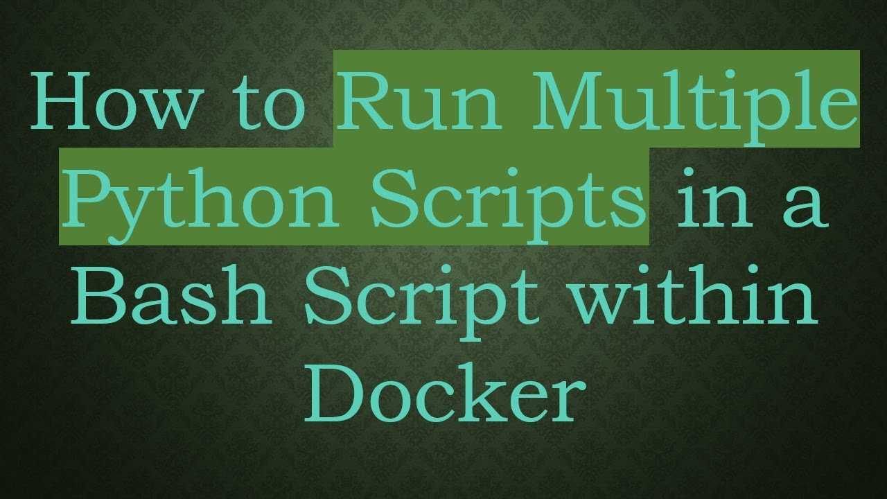 How to Run Multiple Python Scripts in a Bash Script within Docker