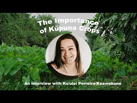 What is the importance of eating Kūpuna crops kalo & 'ulu?