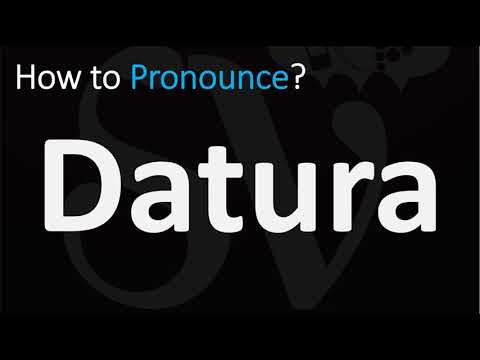 How to Pronounce Datura? (CORRECTLY)