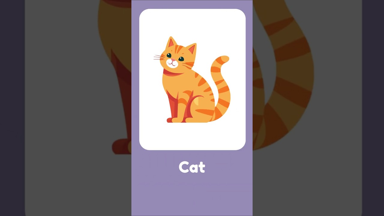 25 Animals Flashcards for Kids | Learn Animal Names with Cute Pictures | Baby & Toddler Learning