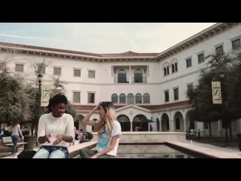 Why USF Sarasota-Manatee? Diverse Student Life