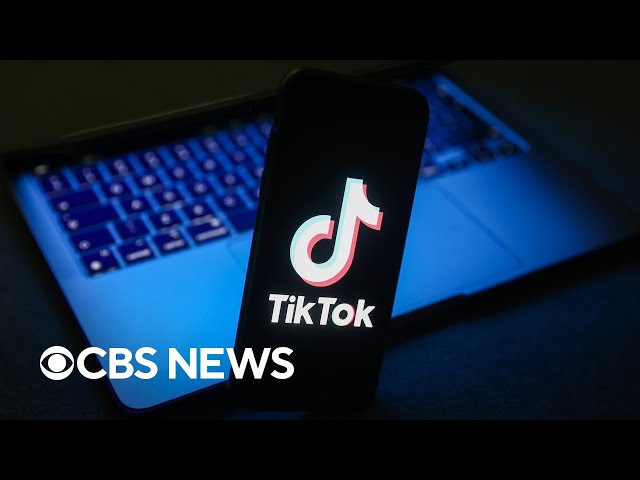 US Government sets TikTok ban enforcement deadline on government-issued ...