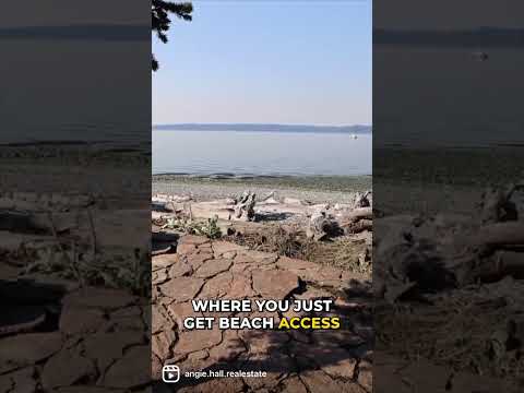Top Seattle Waterfront | Three Tree Point