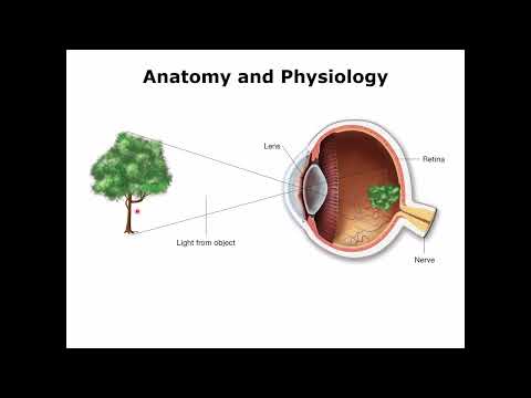 Medical Terminology Special Senses