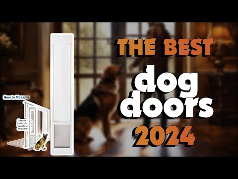 The Best Dog Doors For Sliding Glass Doors 2024 in 2024 - Must Watch Before Buying!