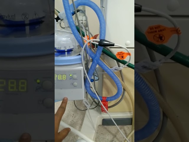 Temperature Probes - 21075A Philips Rectal Temperature Probe Trader ...