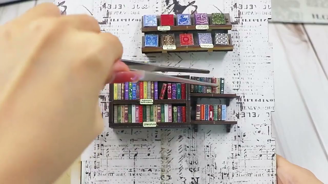 Crafting a Cozy Reading Nook: Soul Bookstore Wooden Shelf Insert 📚✨