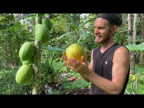 New Land Discoveries...Including "Money" Growing on Trees!