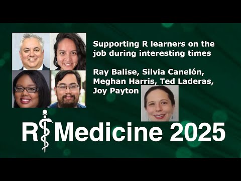 Supporting R learners on the job during interesting times: A panel of R educators