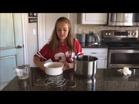Instant Pot Honey Garlic Chicken and Rice