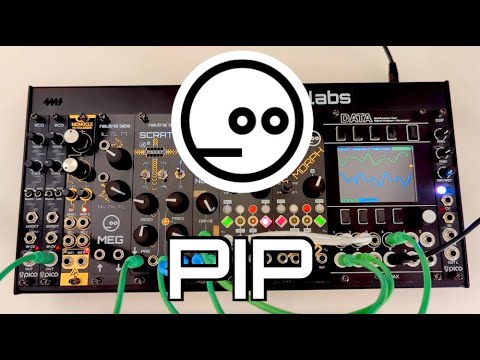 Pip by Neutral Labs - Dual clocked CV | Reverb Deutschland