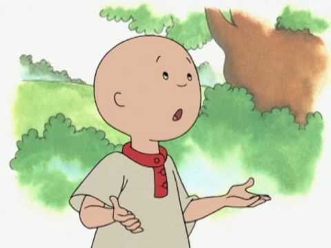 Caillou Season 1 Episode 23 I Caillou Goes to the Zoo