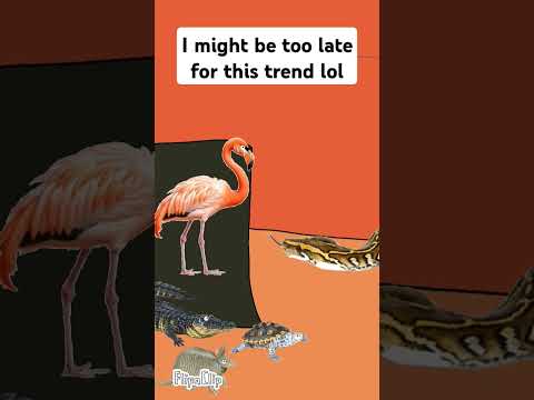 burmese pythons in a nutshell // #flipaclip #animationmeme
