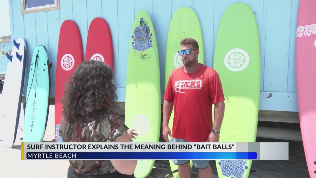 'Bait ball' presence grows on Grand Strand beaches as temperatures warm