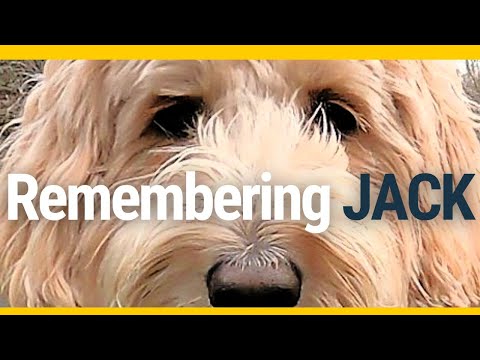 Reflecting on Jack’s Life & Legacy – Roger Holloway Story