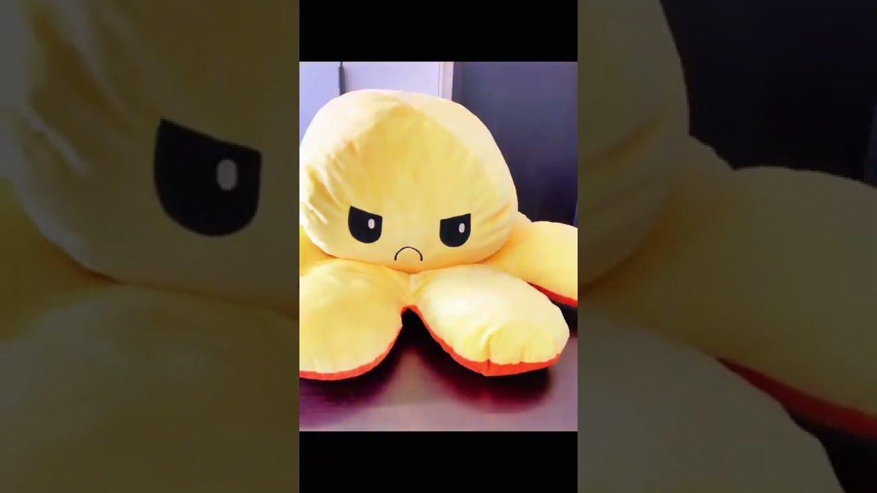 The hottest big octopus quickly bring home one