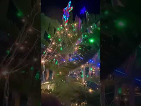 Christmas Celebration In Guwahati #shortvideo #christmas #guwahatiassam #2022 #assam #peaceful