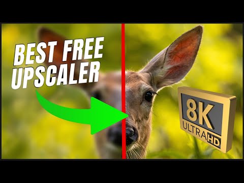 The Best Image Upscale AI 100% Free