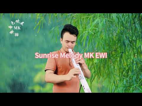 SUNRISE MELODY MK Electric Wind Instrument Sound Display (Xun Sound)