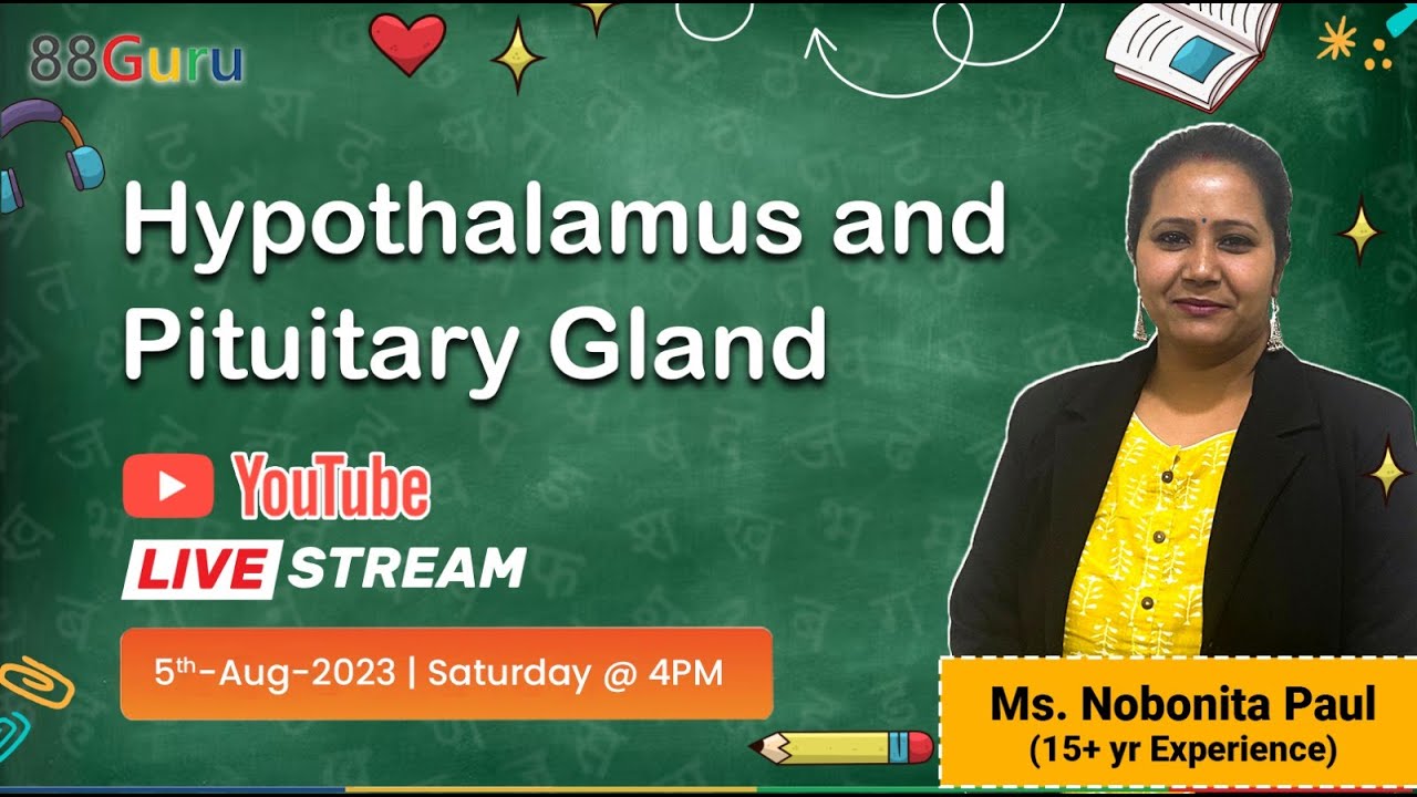Hypothalamus and Pituitary Gland | 5th-Aug-2023 (4:00 PM) | 88Guru #hypothalamus #endocrineglands
