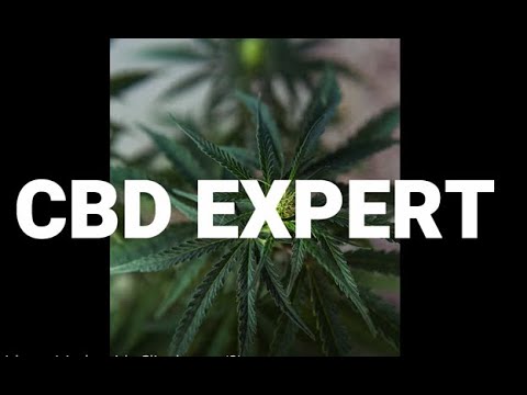 3CHI Black Raspberry Gummies - 400MG with Delta8 THC