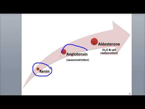 9-9 Control of Blood Pressure and Blood Flow