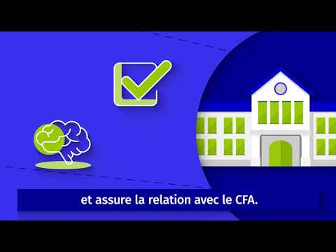 Tout savoir sur l'apprentissage, les contrats et les Centres de Formation des Apprentis (CFA)