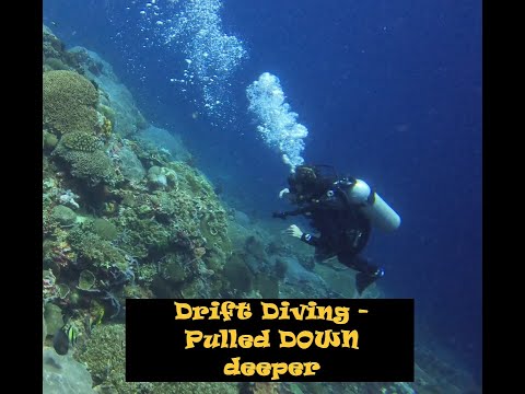 She didn't PANIC when she gets SUCKED deeper during DRIFT Dive in Nusa Penida! #shorts #scubadiving