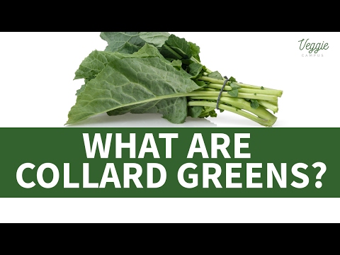 What Are Collard Greens?