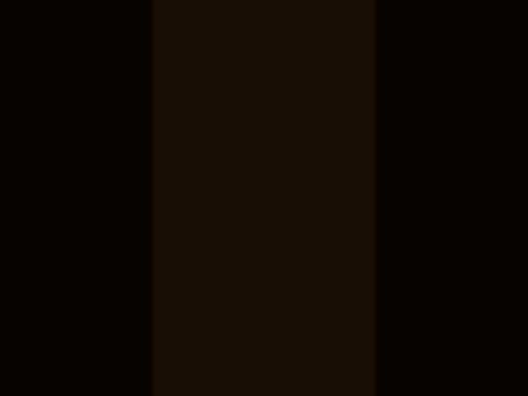 11 December 2024