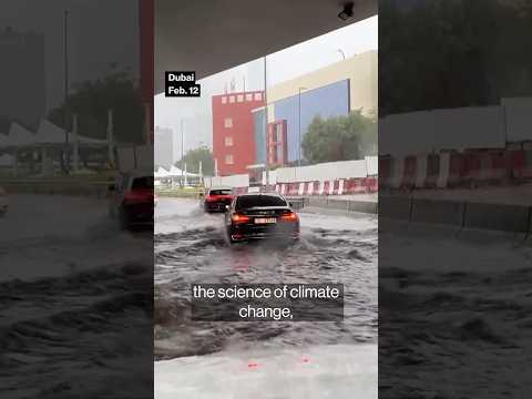 Singapore's Defense Against Extreme Weather