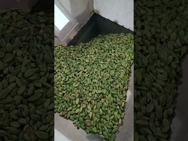 Cardamom Sorting Machines - TINY Mini Cardamom Colour Sorting Machine ...