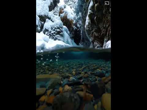 Nature 4k ultra HD video | Vertical video 4k nature