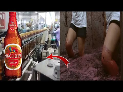 ফ্যাক্টরিতে কি করে বিয়ার তৈরি করেছে, এর জন্য মানুষ এত আসক্ত Kingfisher beer factory process