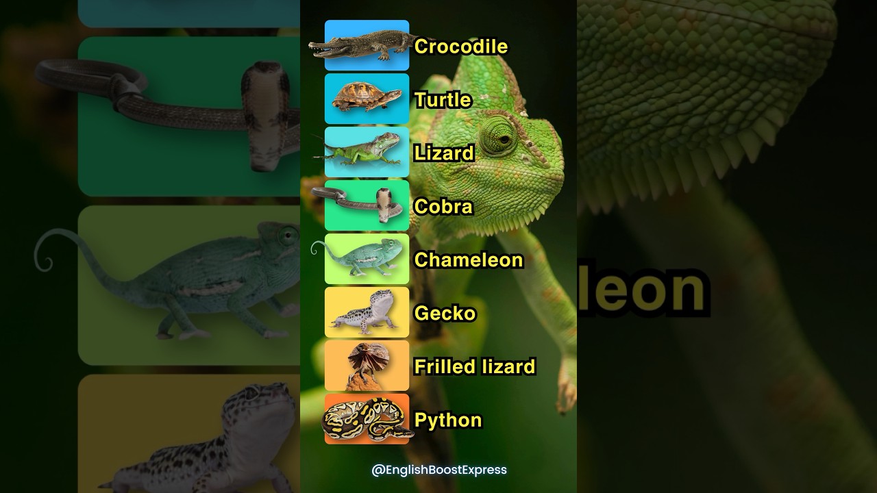 Master English Reptile Names: Simple & Fun!